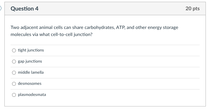 Solved Question 4 20 pts Two adjacent animal cells can share | Chegg.com