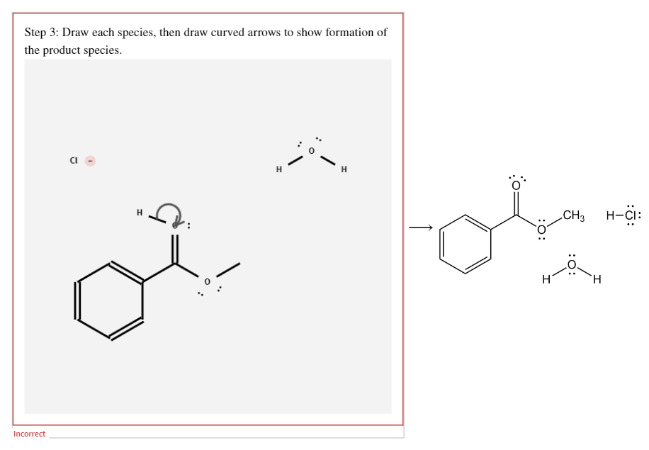 Solved Examination of the Fischer esterification mechanism | Chegg.com