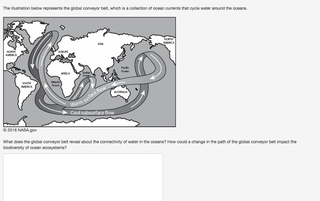 Solved The illustration below represents the global conveyor | Chegg.com