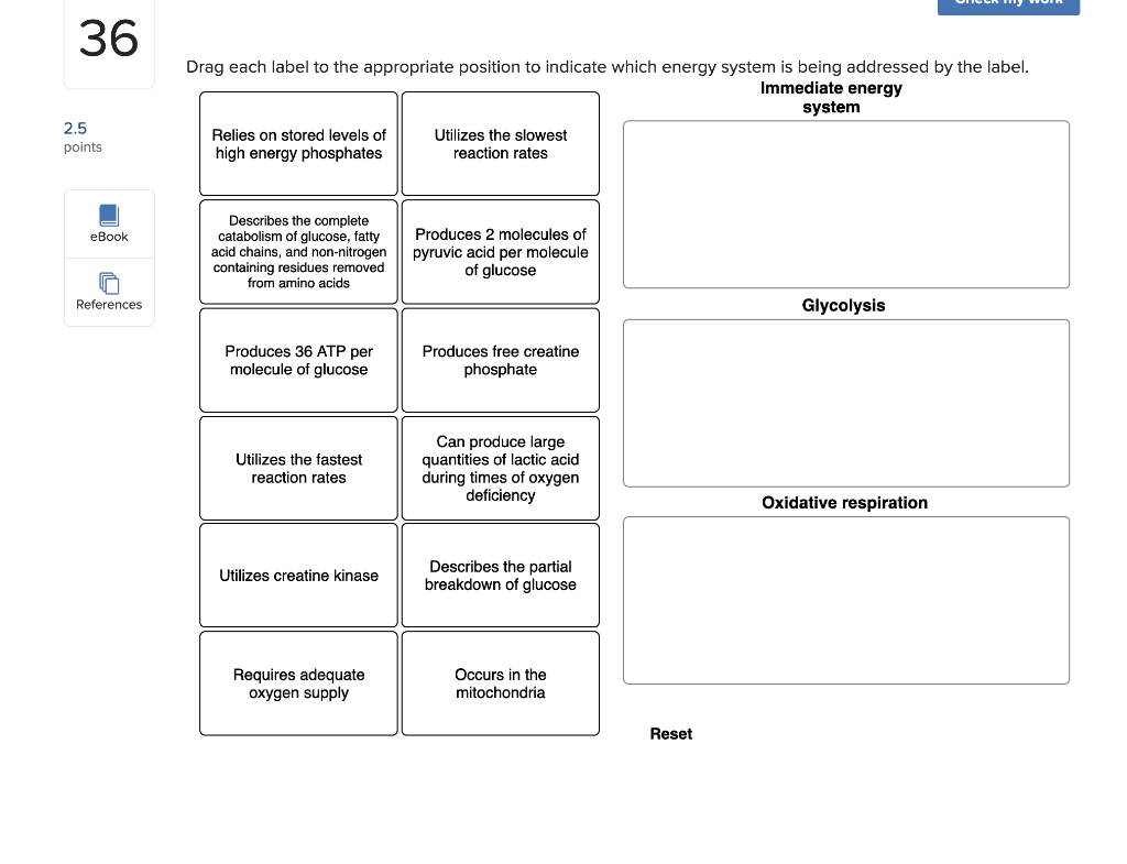 Solved 36 Drag each label to the appropriate position to | Chegg.com