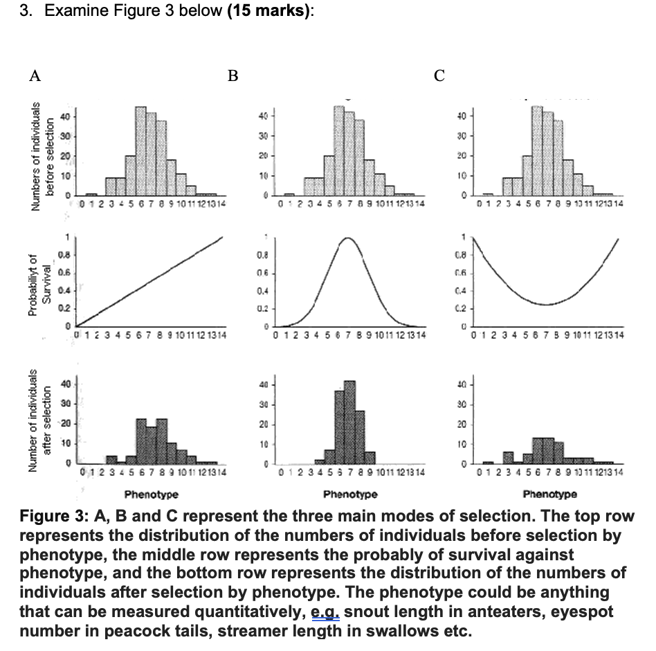 Solved Evolution Name the three main models of | Chegg.com