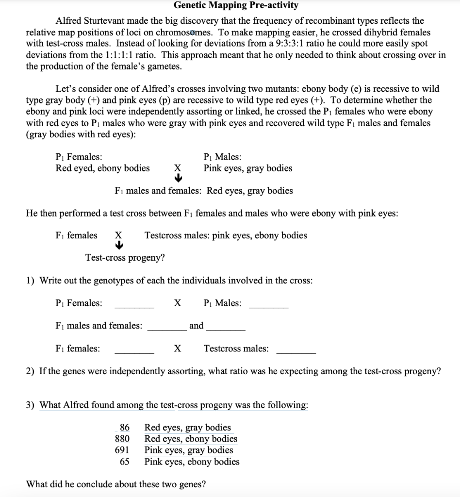Solved Genetic Mapping Pre-activity Alfred Sturtevant made | Chegg.com