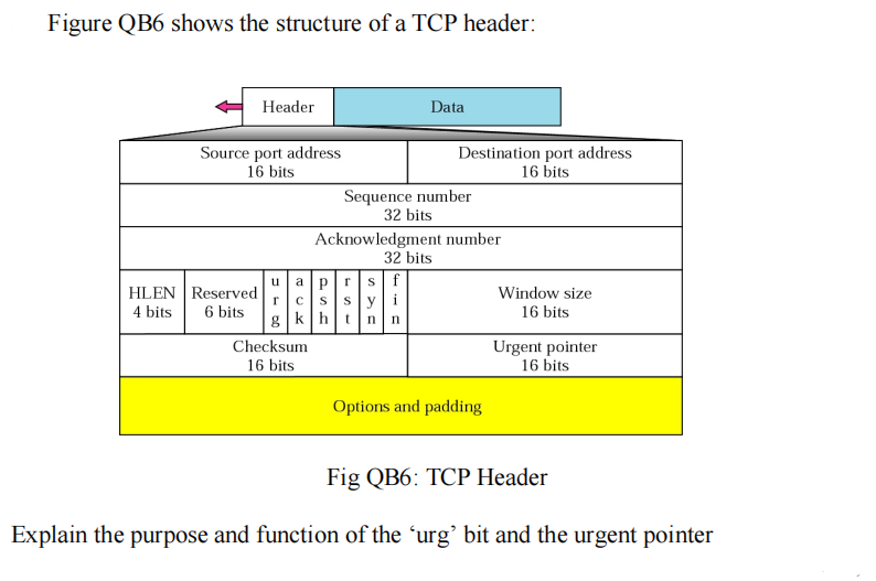 Solved Figure Qb6 Shows The Structure Of A Tcp Header 0172