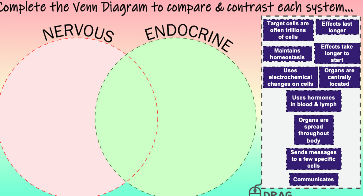 Complete the Venn Diagram to compare & contrast each | Chegg.com