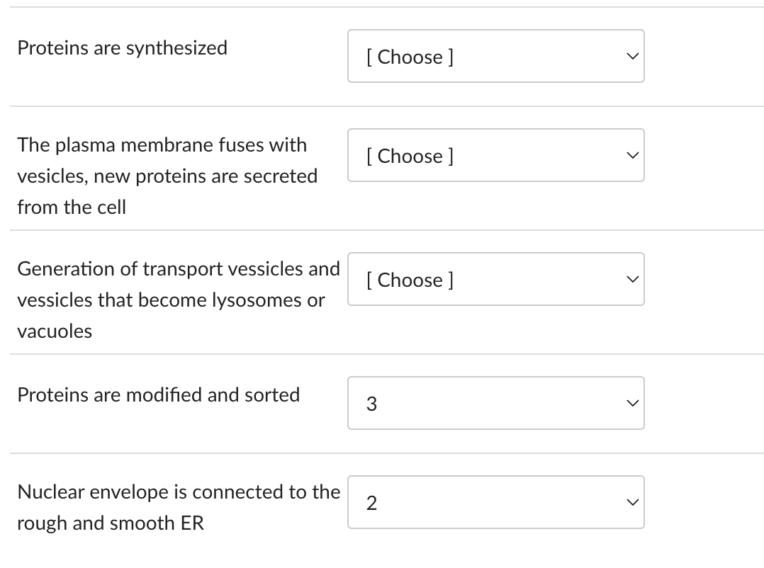 Solved Proteins are synthesizedThe plasma membrane fuses | Chegg.com