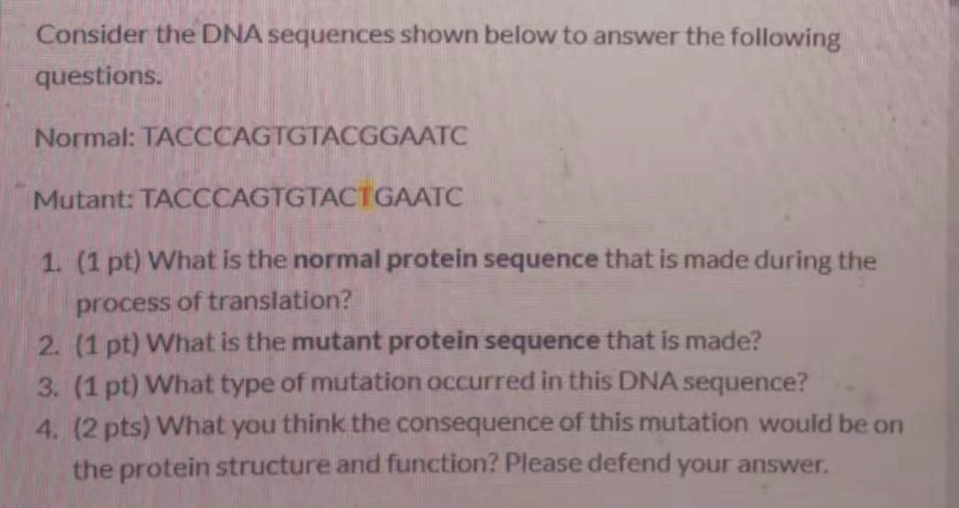 Solved Consider the DNA sequences shown below to answer the | Chegg.com