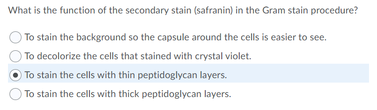 Solved What is the function of the secondary stain | Chegg.com