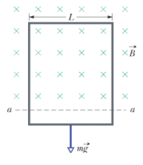 Solved A rectangular conducting loop, of width L, resistance | Chegg.com