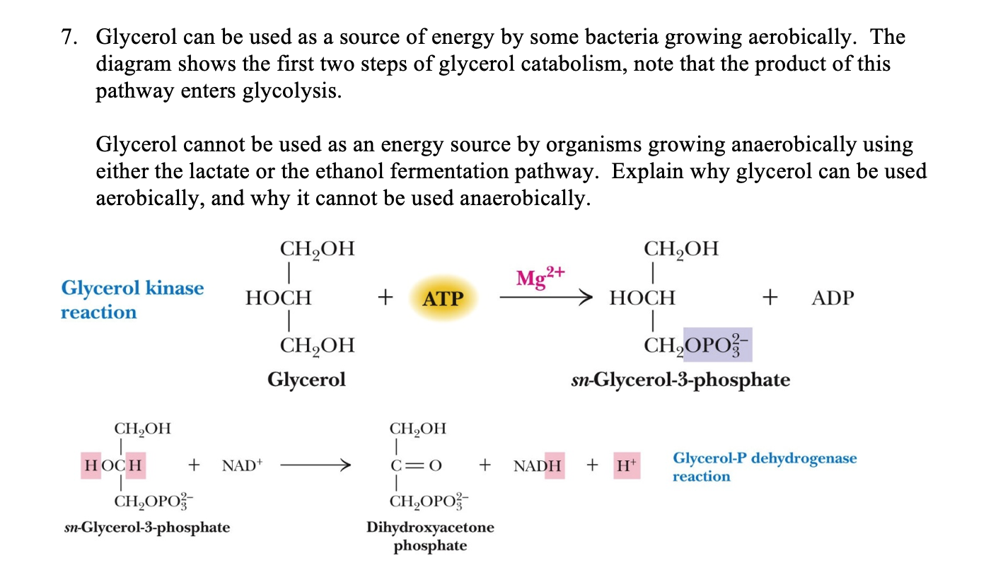 Solved 7. Glycerol can be used as a source of energy by some | Chegg.com