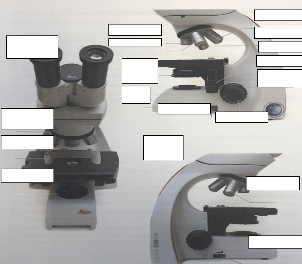 Solved LEICA DM500 : | Chegg.com