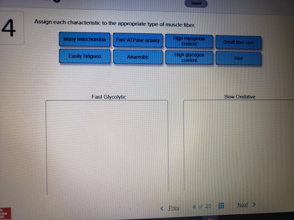Solved Saved Assign each characteristic to the appropriate | Chegg.com Solved Saved Assign each characteristic to the appropriate | Chegg.com