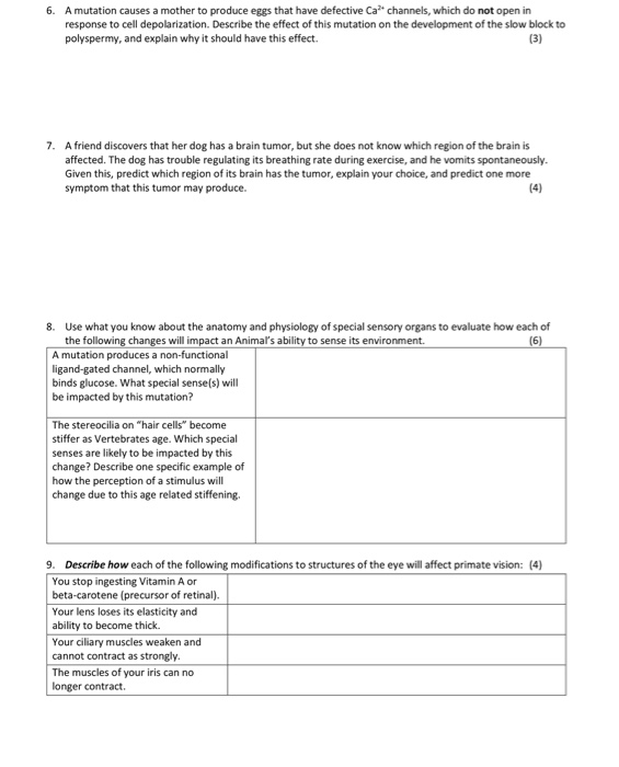 Solved 6. A mutation causes a mother to produce eggs that | Chegg.com