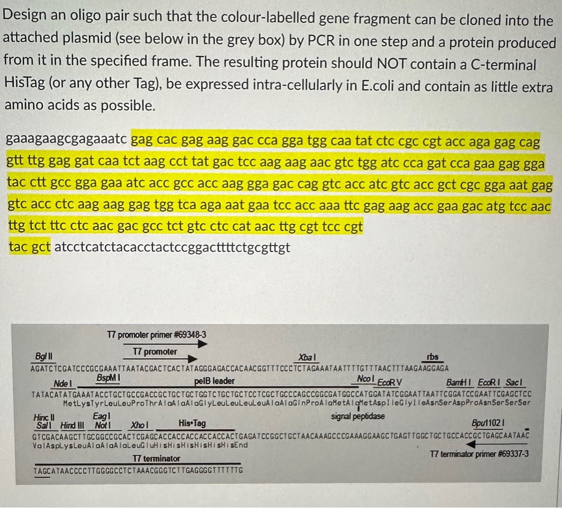 Solved Design an oligo pair such that the colour-labelled | Chegg.com