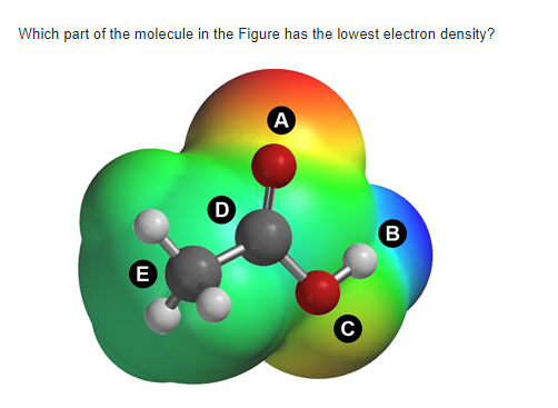 Solved Which part of the molecule in the Figure has the | Chegg.com