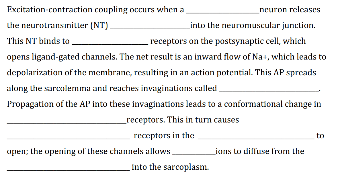 Solved Excitation-contraction coupling occurs when a neuron | Chegg.com