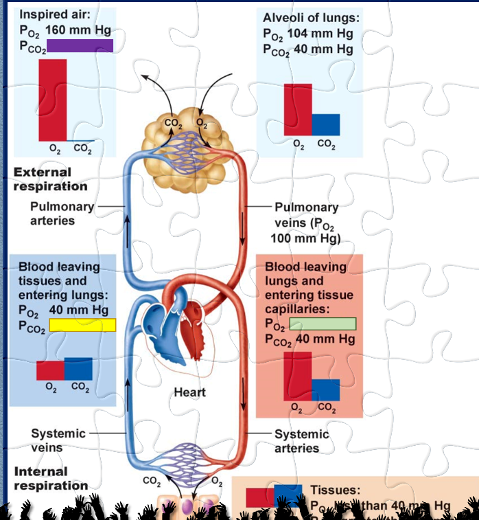 Solved Which of the following statements best describes what | Chegg.com