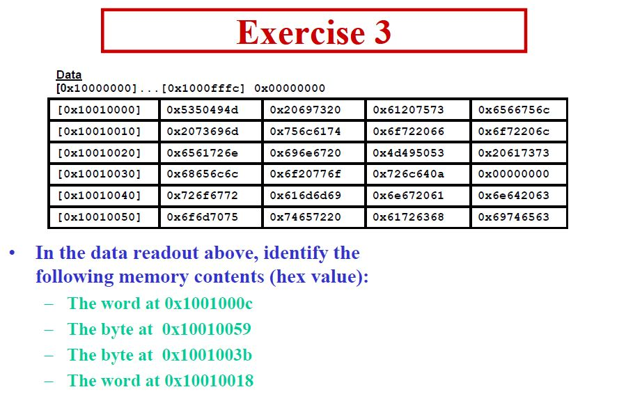 Solved Exercise 3 Data [0x10000000] ... [0x1000fffc] | Chegg.com