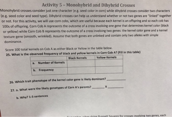 Solved Activity 5-Monohybrid and Dihybrid Crosses Monohybrid | Chegg.com