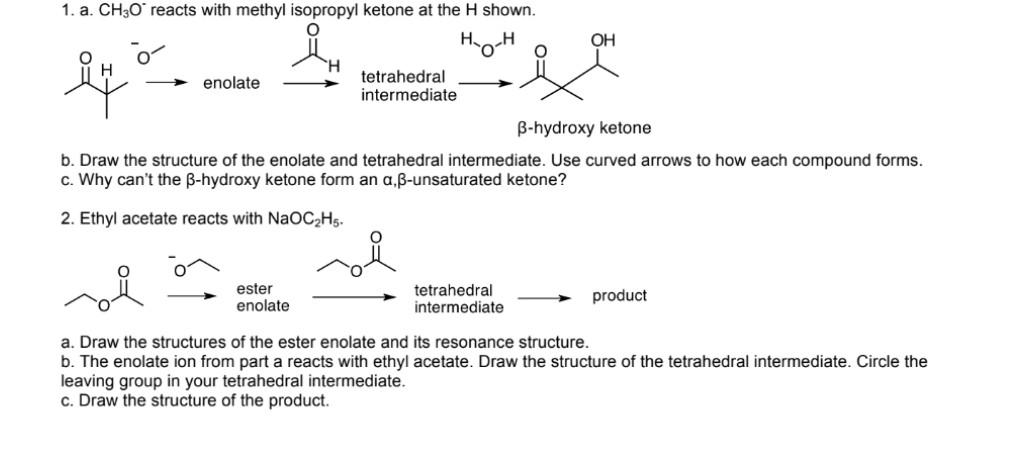 Solved 1. a. CH3O reacts with methyl isopropyl ketone at the | Chegg.com