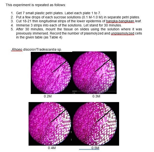 This experiment is repeated as follows: 1. Get 7 | Chegg.com