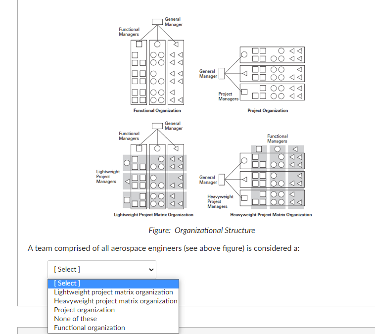 Solved General Manager Functional Managers O General Manager | Chegg.com