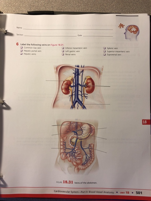 Solved Name Section UNIT 18 Check Your Recall REVIEW 1 Label | Chegg.com