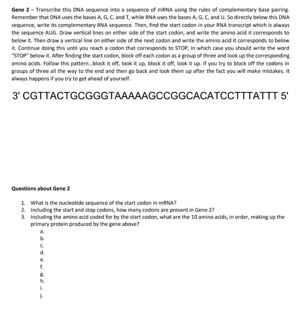 Solved Gene 2 - Transcribe this DNA sequence into a sequence | Chegg.com