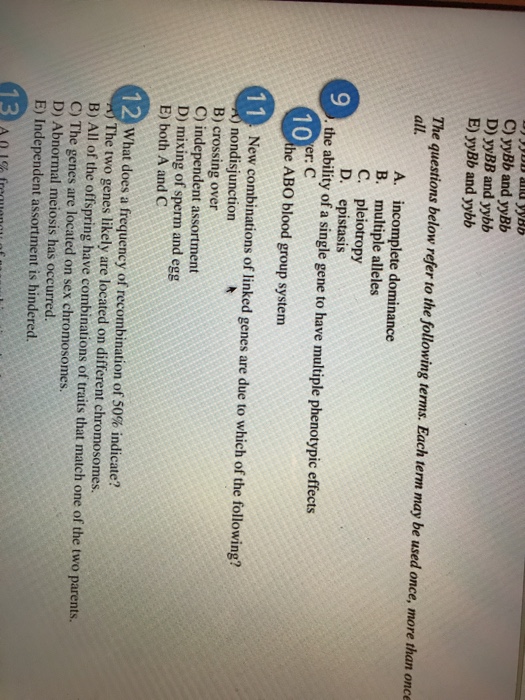 Solved C) yBb and yyBb D) yyBB and yybb E) yyBb and yybb The | Chegg.com