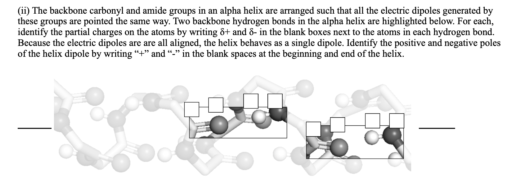 Solved The backbone structure of an alpha helix is shown in | Chegg.com