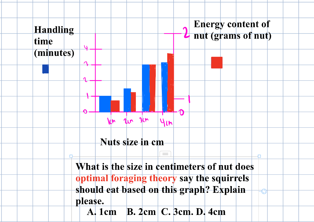 Solved Question using the optimal foraging theory which size | Chegg.com