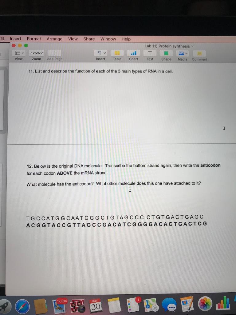 Solved Format Arrange View Share Window Help Lab 11) Protein | Chegg.com