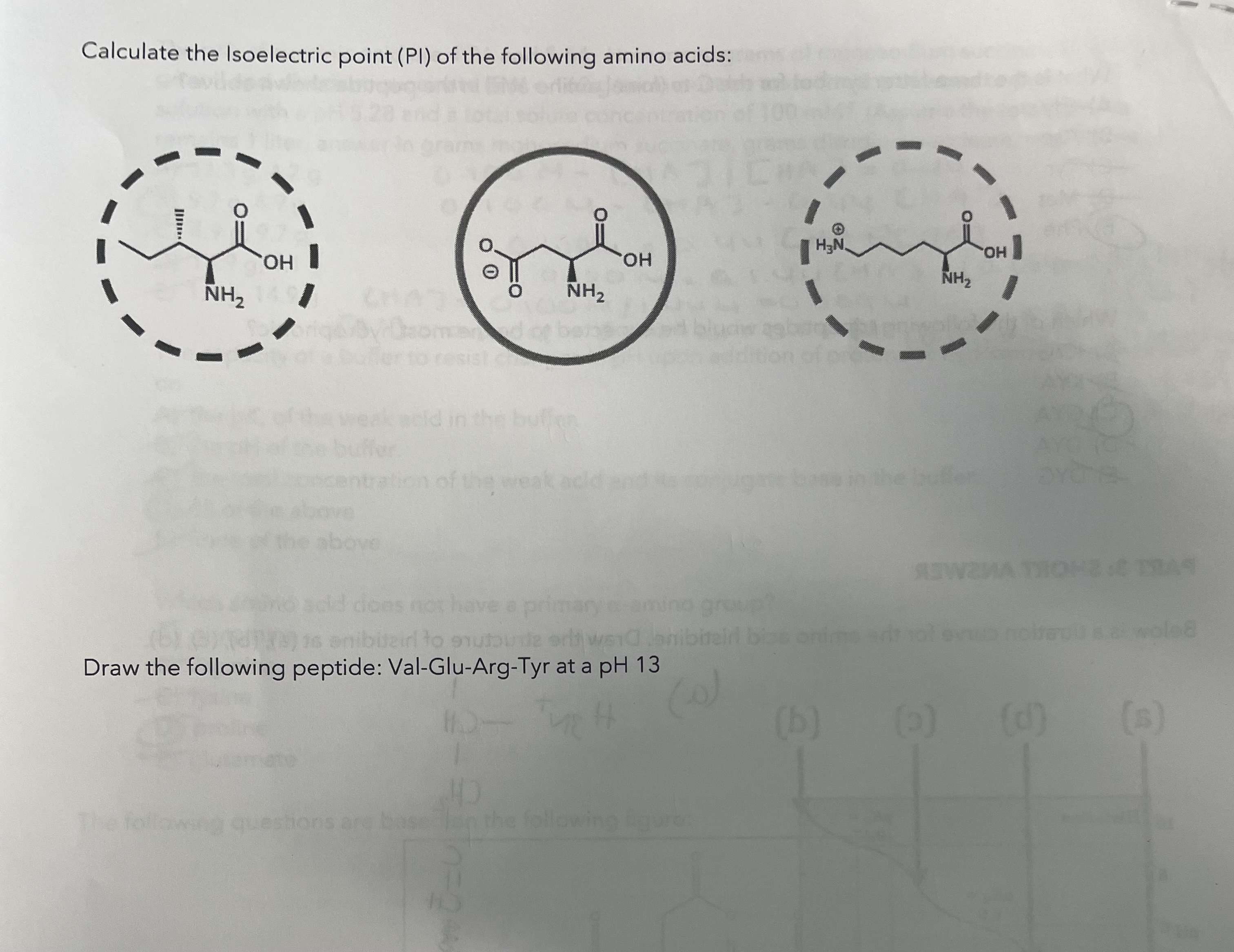 Solved Calculate the Isoelectric point (PI) of the following | Chegg.com