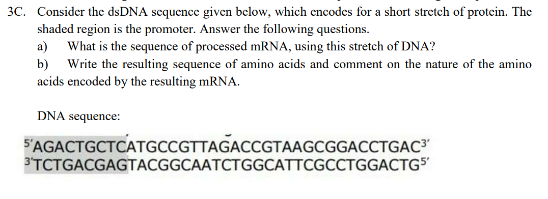 Solved 3C. Consider the dsDNA sequence given below, which | Chegg.com