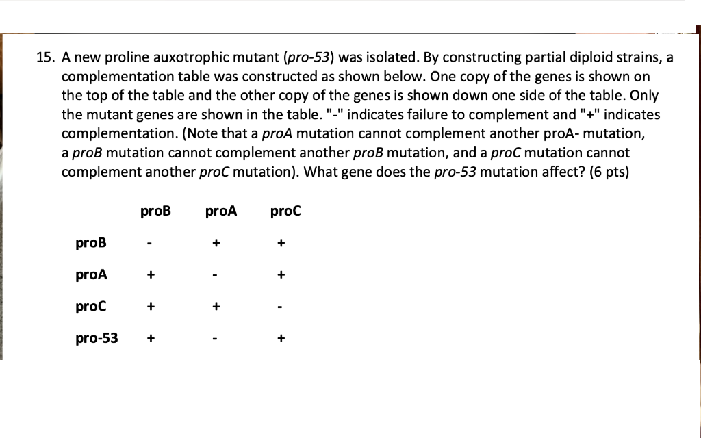 Solved 15. A new proline auxotrophic mutant (pro-53) was | Chegg.com