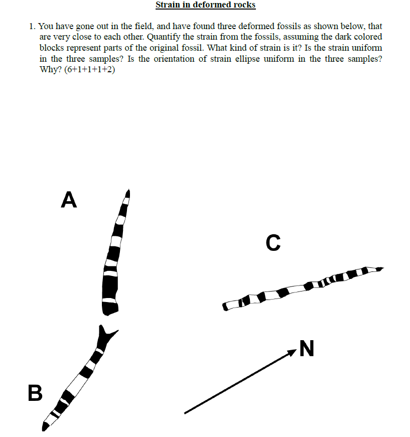 Solved Strain in deformed rocks 1. You have gone out in the | Chegg.com