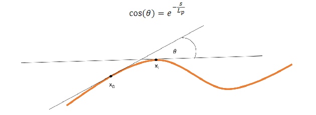 Solved The persistence length (Lp) of biological filaments | Chegg.com