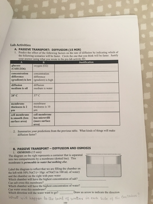 Solved Lab Activities A. PASSIVE TRANSPORT: DIFFUSION (15 | Chegg.com