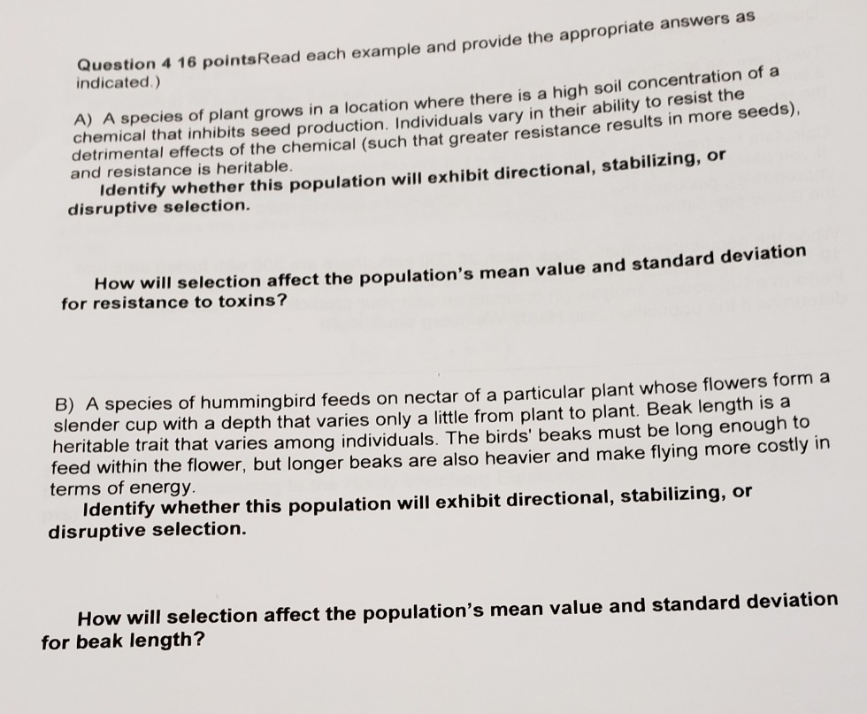 Solved Que indicated.) stion 4 16 pointsRead each example | Chegg.com