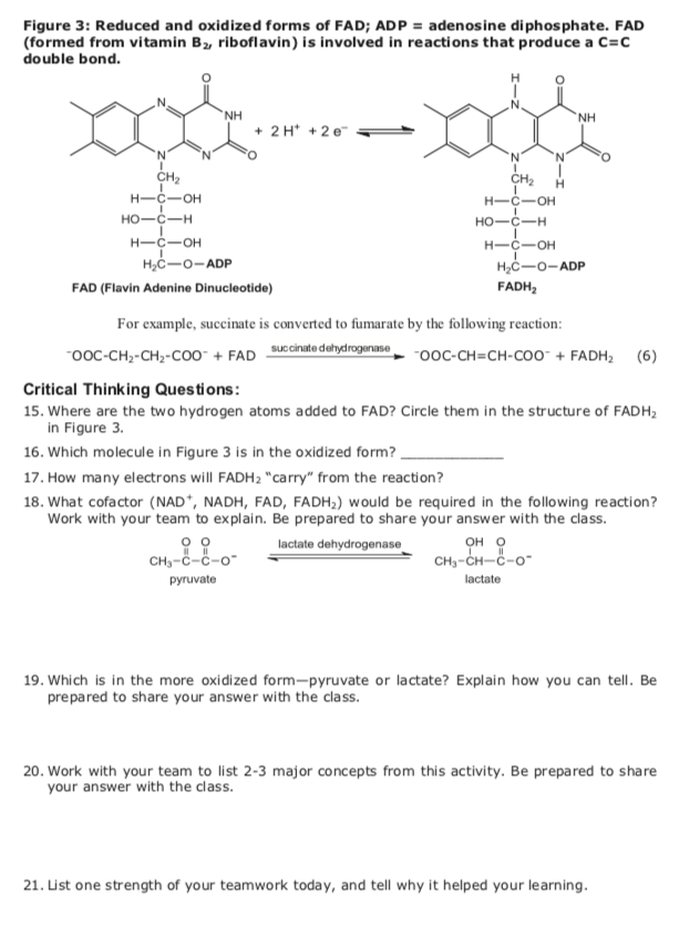 Solved Figure 3: Reduced and oxidized forms of FAD; ADP = | Chegg.com