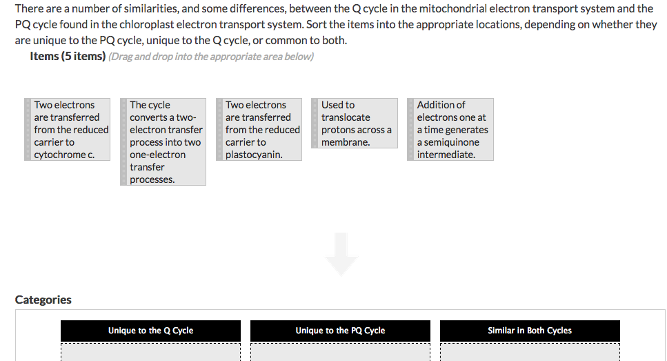 Solved There are a number of similarities, and some | Chegg.com