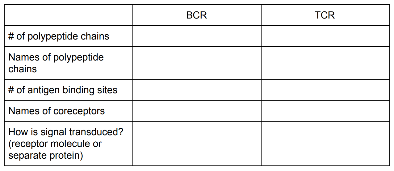 Solved The structure of the TCR is MOST similar to the | Chegg.com