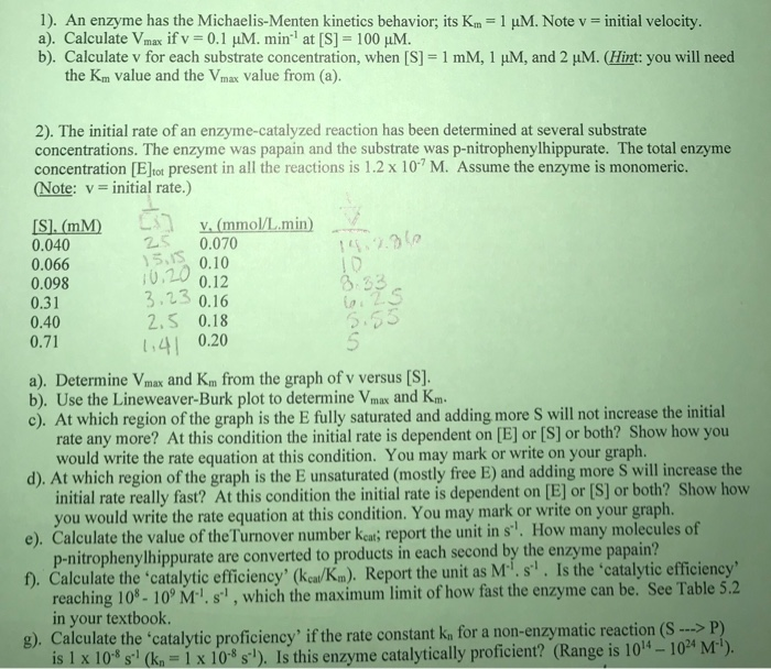 Solved 1). An enzyme has the Michaelis Menten kinetics | Chegg.com