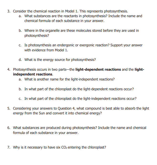 Solved Name: BI0181 Worksheet: Photosynthesis How do | Chegg.com