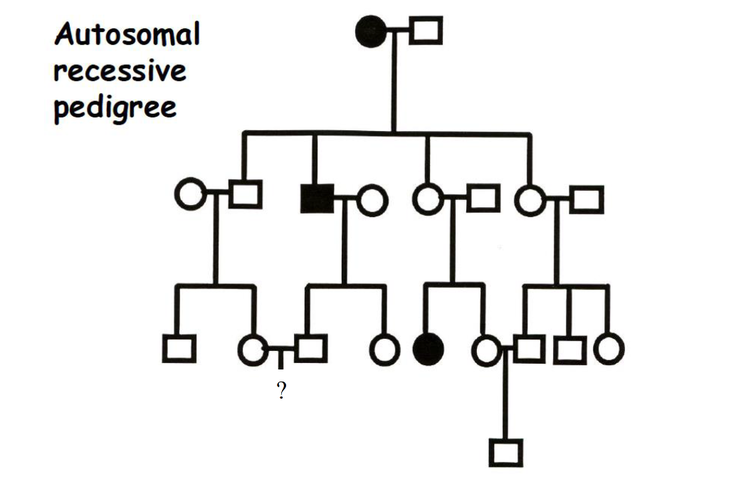 Solved 1) Tay-Sachs disease (TSD) is an inborn error of | Chegg.com
