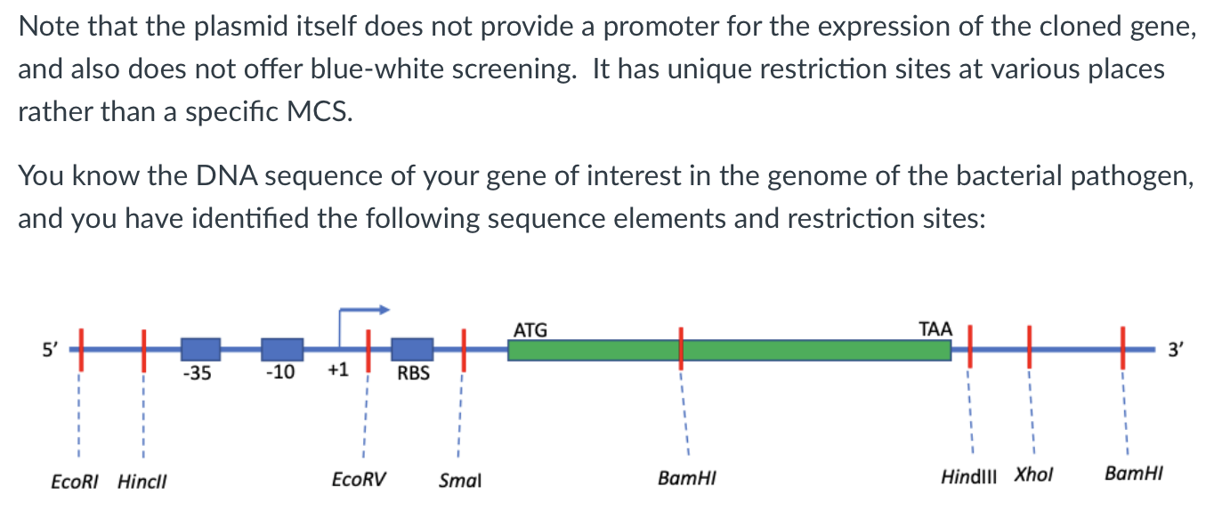 Solved question: How would you clone this gene in the E. | Chegg.com