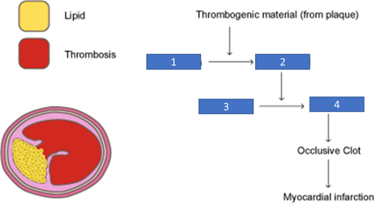 Solved Match the number with the correct item based on the | Chegg.com