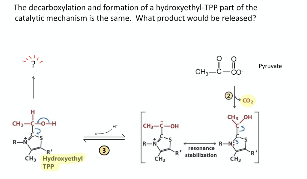 Solved The decarboxylation and formation of a | Chegg.com