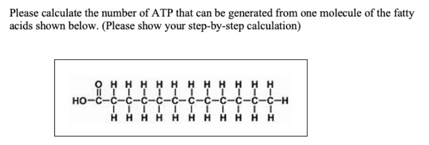 Solved Please calculate the number of ATP that can be | Chegg.com