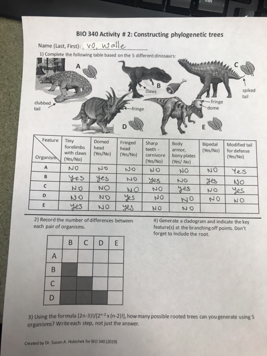 Solved: BIO 340 Activity # 2: Constructing Phylogenetic Tr... | Chegg.com