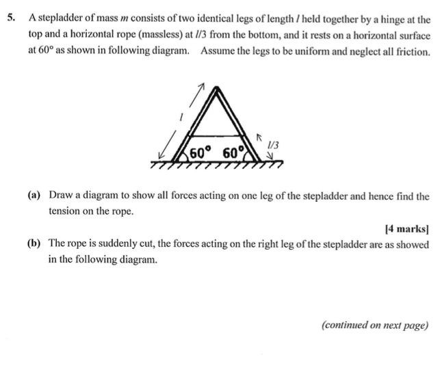 Solved 5. A stepladder of mass m consists of two identical | Chegg.com